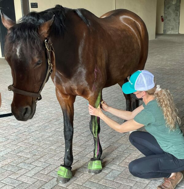 All Courses - EquiLearn Institute